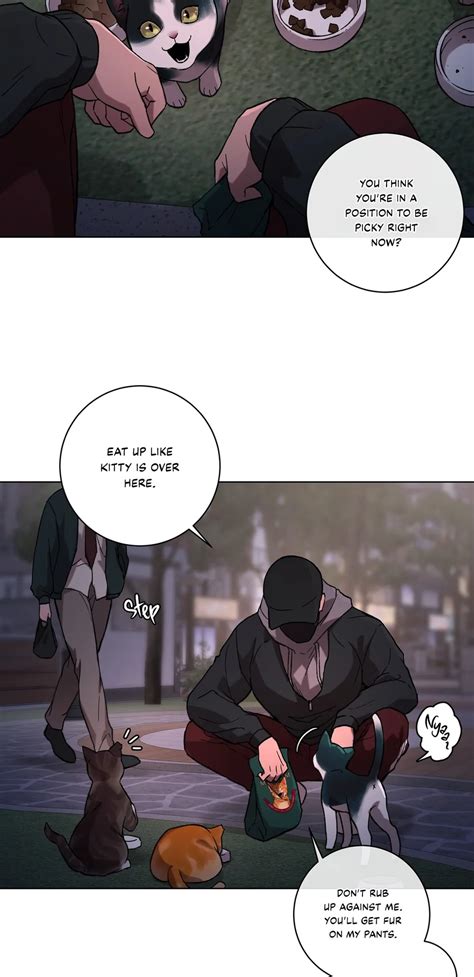 Yeaze Release Your Persona Eng Update C Page Of