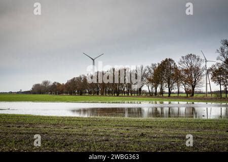 Dauerregen - Hochwasserschäden, überflutete Wintergetreideflächen im ...