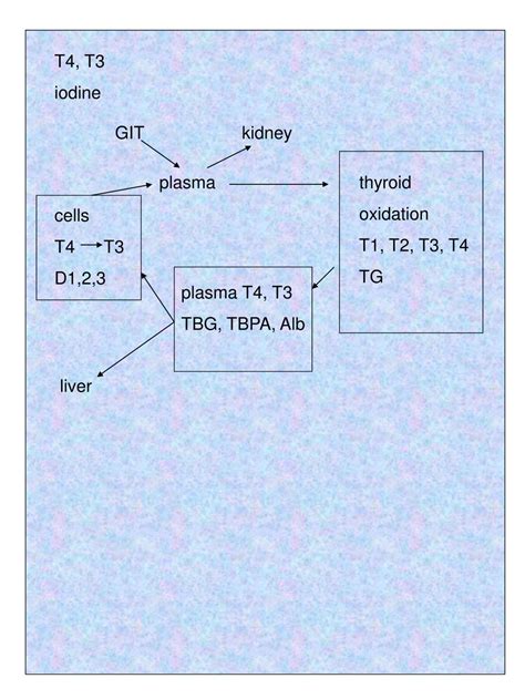 Ppt Thyroid Disorders Powerpoint Presentation Free Download Id3221244