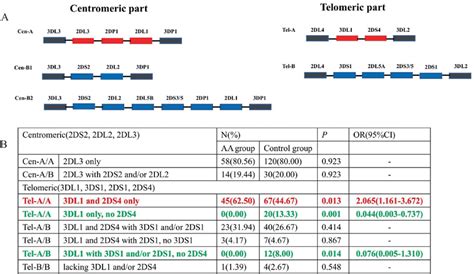 The Kir Locus Comprises Centromeric Cen And Telomeric Tel Gene