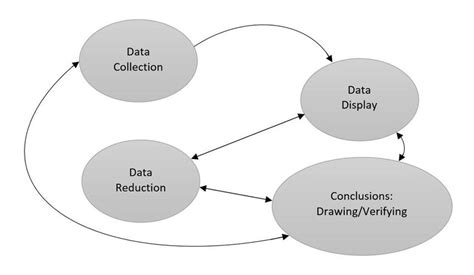 Components Of Data Analysis Interactive Model Source Miles