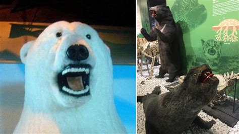 25 Terrible Taxidermy Failures Know Your Meme
