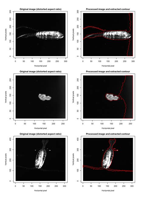 Binary Image Segmentation In R