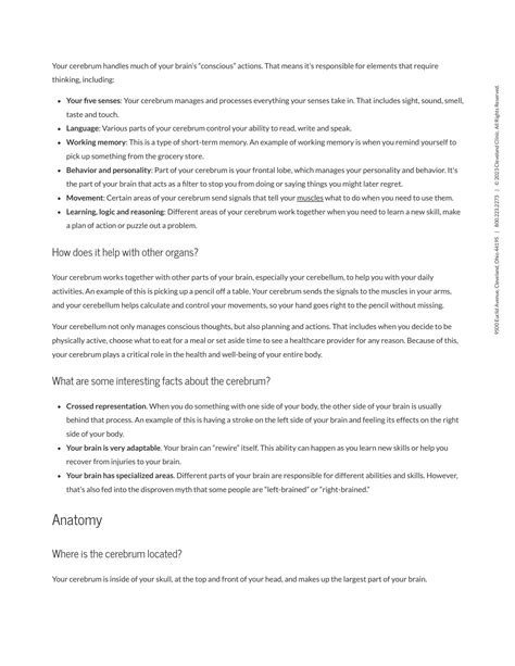 Solution Cerebrum What It Is Function Anatomy Studypool