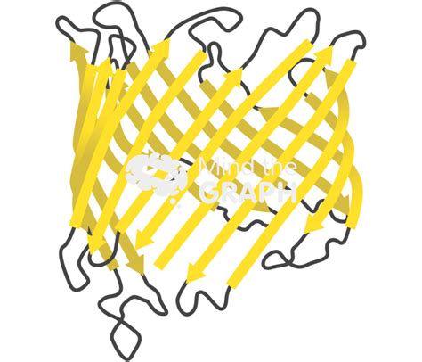 Free Beta Barrel Protein 1 Icons Symbols Pictures And Images Mind The Graph