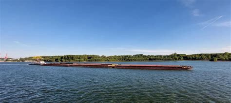 На Дунаї ускладнилося судноплавство річка обміліла ФОТО ВІДЕО Пасажирський Транспорт