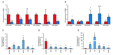 Tissue Expression Profile Of Characteristic Mirnas A The Expression