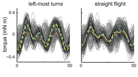 simultaneous dimensionality reduction of motor commands and movement