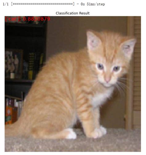 深度学习 Cat and Dog分类项目实战 CSDN博客