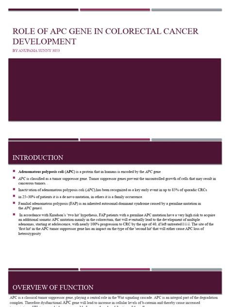 Apc Gene And Colon Cancer Pdf Colorectal Cancer Human Diseases And Disorders