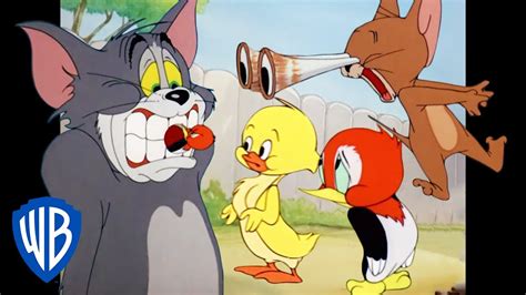 Tom And Jerry Cartoon Images