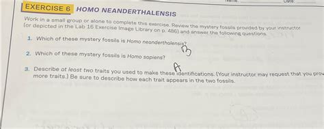 Solved Exercise 6 ﻿homo Neanderthalensiswork In A Small