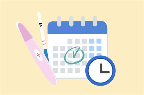 Signs Of Ovulation After Stopping Taking Birth Control Pills Femia Health