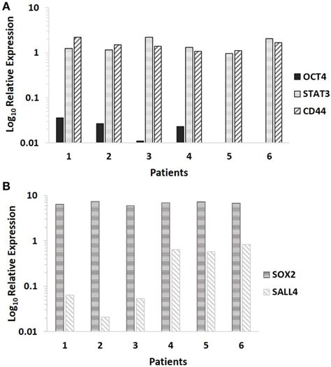 Log10 Relative Expression Of Cancer Stem Cell Related Mrna Transcripts