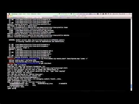 Usando LiME Y Volatility Para Analizar La Memoria En Linux