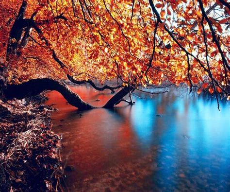 자연 경관 배경화면 Phoneky에서 모바일로 다운로드