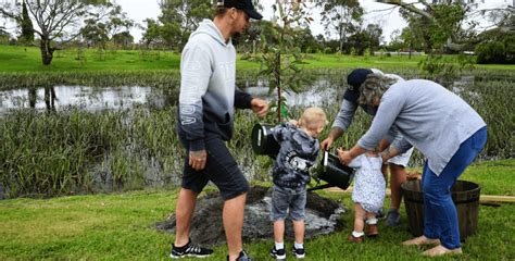 Tree Pod Burial Locations In Australia Full Guide Mornington Green Legacy Gardens