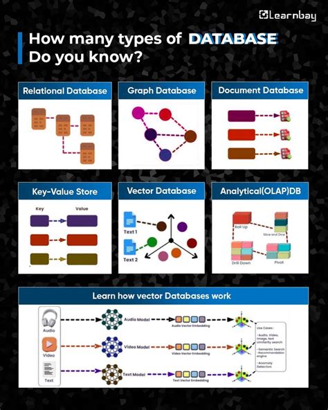 How Many Types Of Database Do You Know In 2025 Data Science Learning