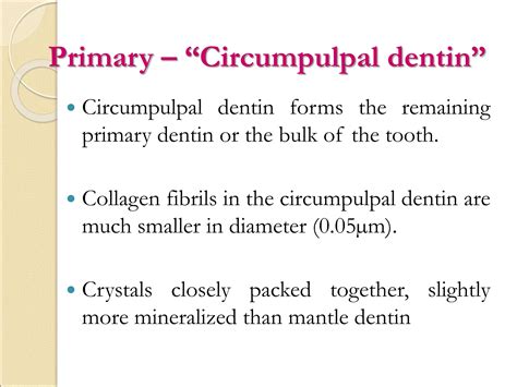 Bds First Year Dentin Presentation By Sdm D Ppt