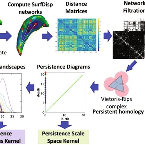 Method Workflow For The Shape Topology Networks Download Scientific