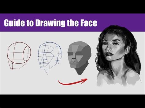 How To Draw A Face Guidelines