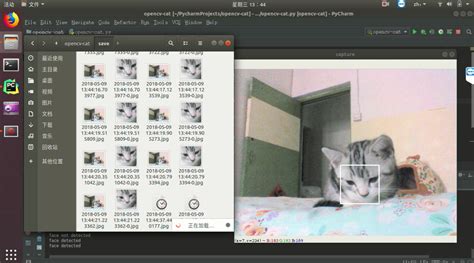 使用OpenCV和TensorFlow实现猫主子识别 提取猫脸图片 ConorPai的博客