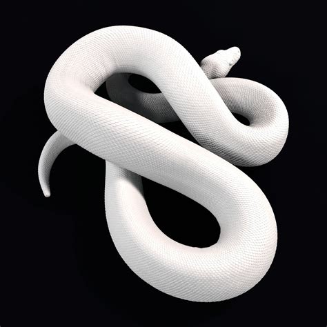 Ball Pythons Realistic Royal Python Pet Snake 3d Print Model 3d Model