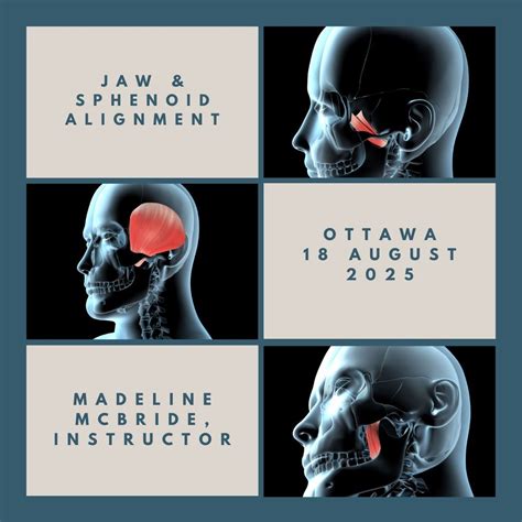 Jaw And Sphenoid Alignment — Mcbride Pain Clinic