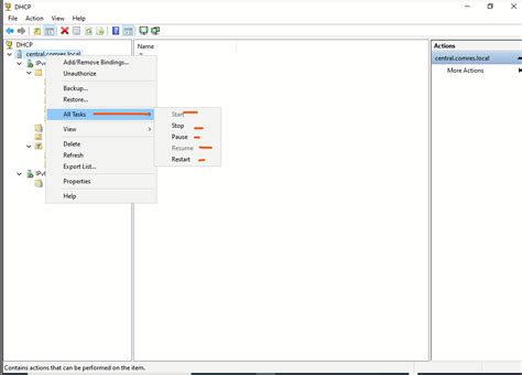troubleshoot dhcp dns issues linux administrator system