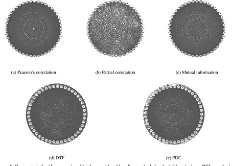 Figure 5 From Extracting The Multiscale Causal Backbone Of Brain