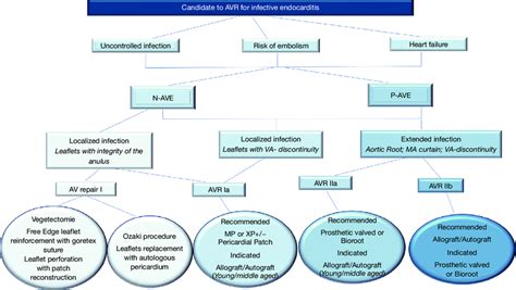 Algorithm To Assess The Candidate For Surgical Avr In Ave Download