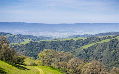 Morgan Hill Neighborhood Guide