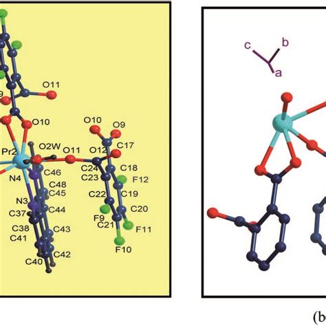 A The Coordination Environments Of Priii Ions In The Asymmetric
