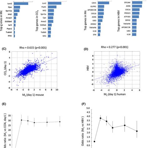 Similarities In Transcriptional Responses Induced In Cultivated