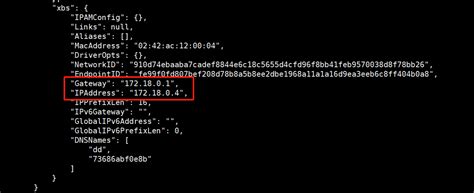 Docker 篇 Docker 详细安装、了解和使用 Docker 核心功能（数据卷、自定义镜像 Dockerfile、网络）docker