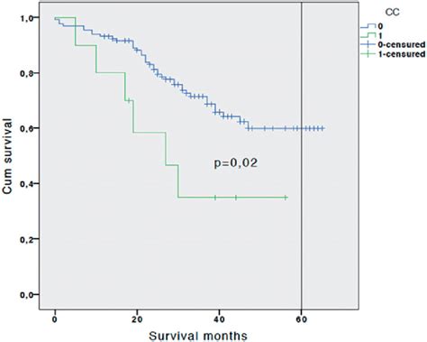 Kaplan Meier Survival Curve Log Rank Test Comparing Patients With