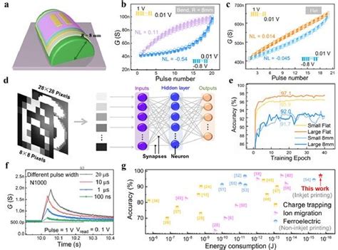Figure 4 From Flexible And Energy Ecient Synaptic Transistor With Quasi Linear Weight Update