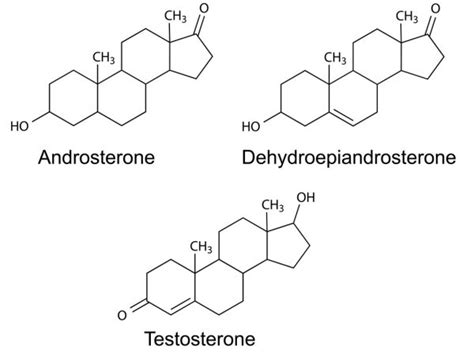 Structural Chemical Formulas Of Purine Alkaloids Caffeine