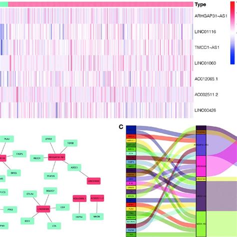 lasso and cox regression for tuning parameter selection a lasso