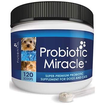 The 10 Best Probiotics For Cats As Supplements 2022 Cat Loves Best