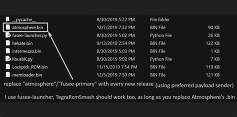 A Fatal Error Occurred When Running Fusee Whydo