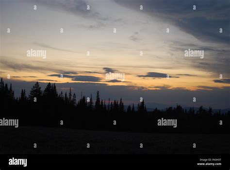 Sunset With Trees Stock Photo Alamy