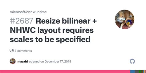 Resize Bilinear Nhwc Layout Requires Scales To Be Specified · Issue