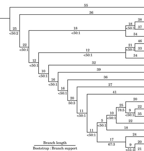 Single Most Parsimonious Tree Resulting From An Unweighted Parsimony