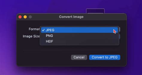 6 Best Ways To Compress Jpeg Images Without Losing Quality Shortpixel Blog