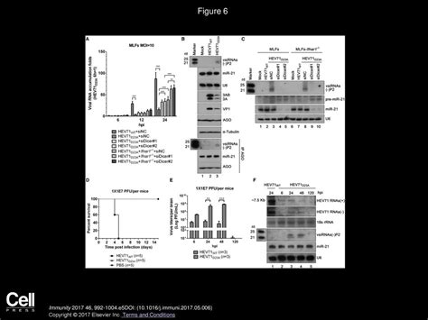 Volume 46 Issue 6 Pages E5 June 2017 Ppt Download