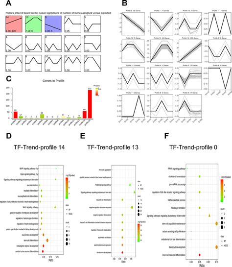 The Sample Time Series Analysis Of De Tfs A Distribution Trend Of Download Scientific Diagram