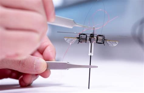 Insect Sized Jumping Robot That Can Traverse Challenging Terrains