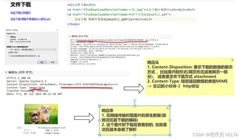 Javaweb16 Web 应用常用功能 文件上传下载java Web 文件下载 Csdn博客 Javaweb16 Web 应用常用功能 文件上传下载java Web 文件下载 Csdn博客