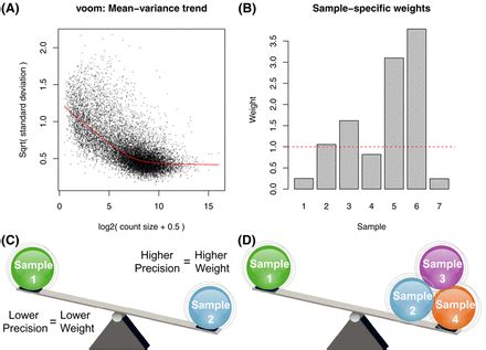 Modelling sample and observational level variability improves power in RNA-seq analyses | RNA ...